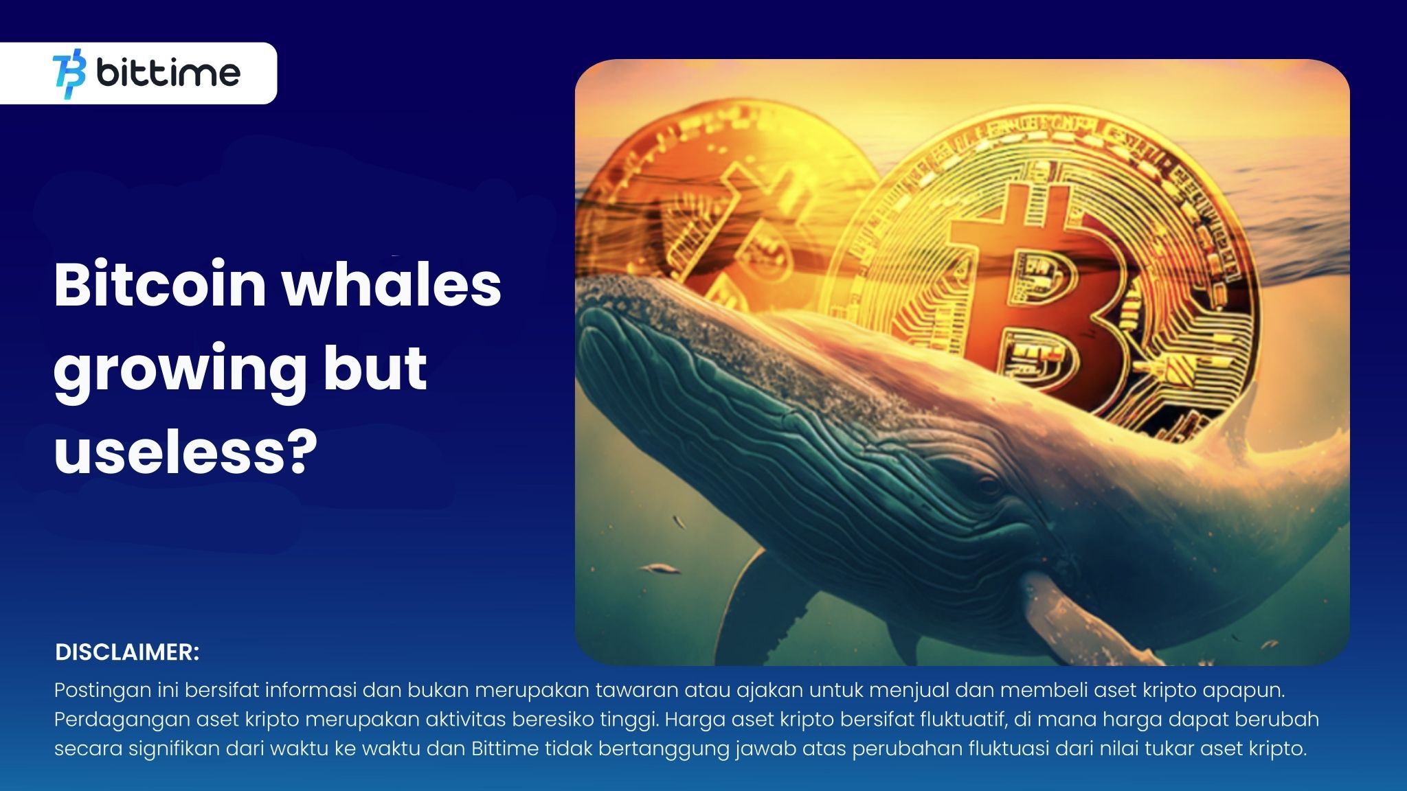 Bitcoin whales growing but useless? – Bittime