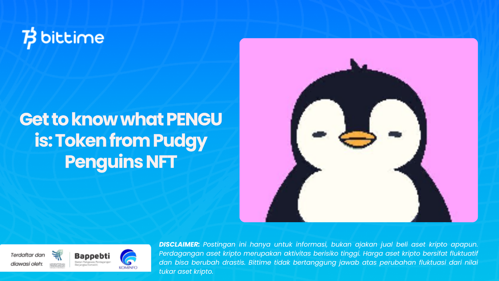 Getting to Know PENGU: Pudgy Penguins NFT Token – Bittime