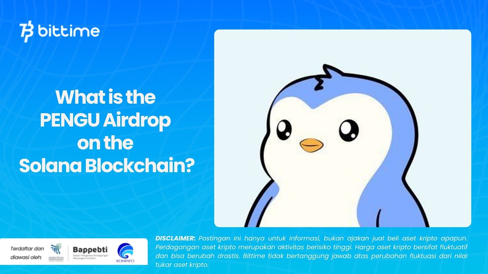What is the PENGU Airdrop on the Solana Blockchain? – Bittime