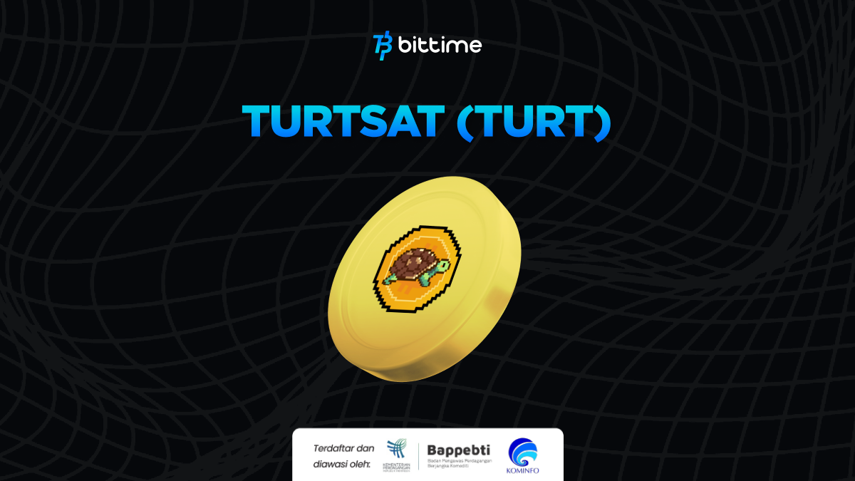 What is TURT? BRC-20 meme token with Unique Features – Bittime