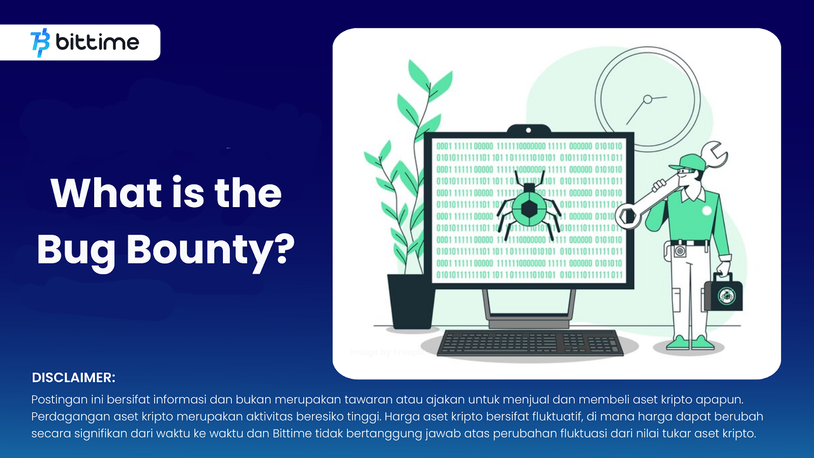What is a Bug Bounty? – Bittime