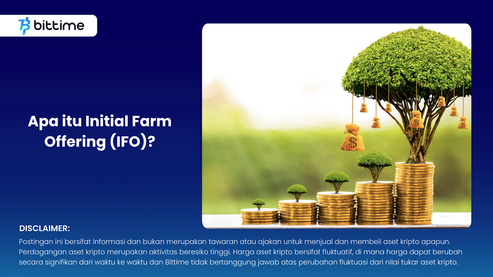 What is an Initial Farm Offering (IFO)? – Bittime