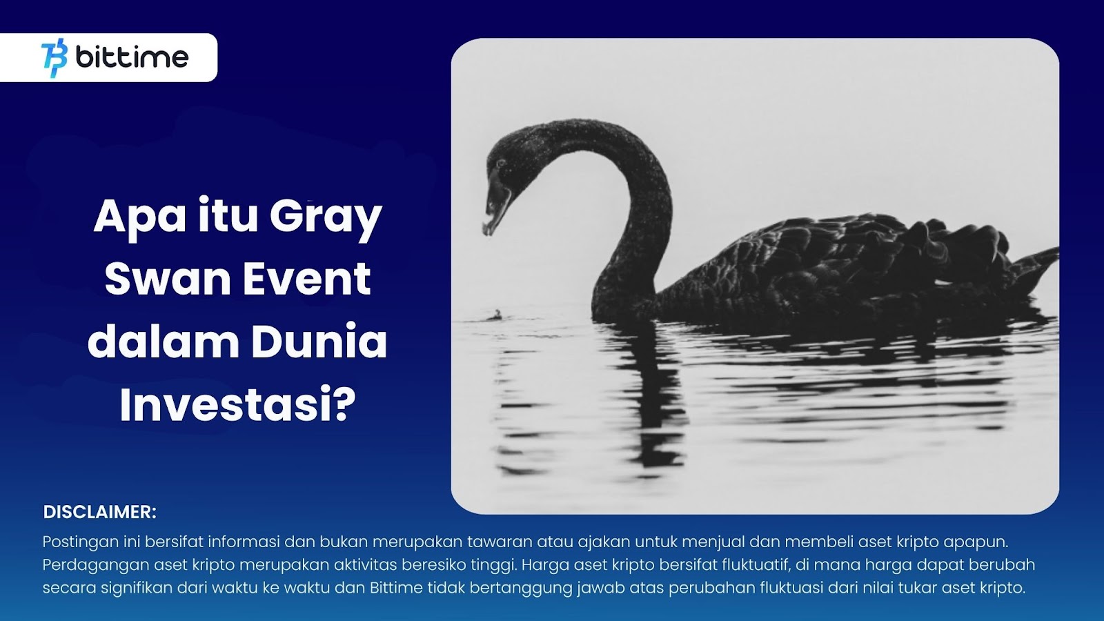 Apa itu Gray Swan Event dalam Dunia Investasi? – Bittime