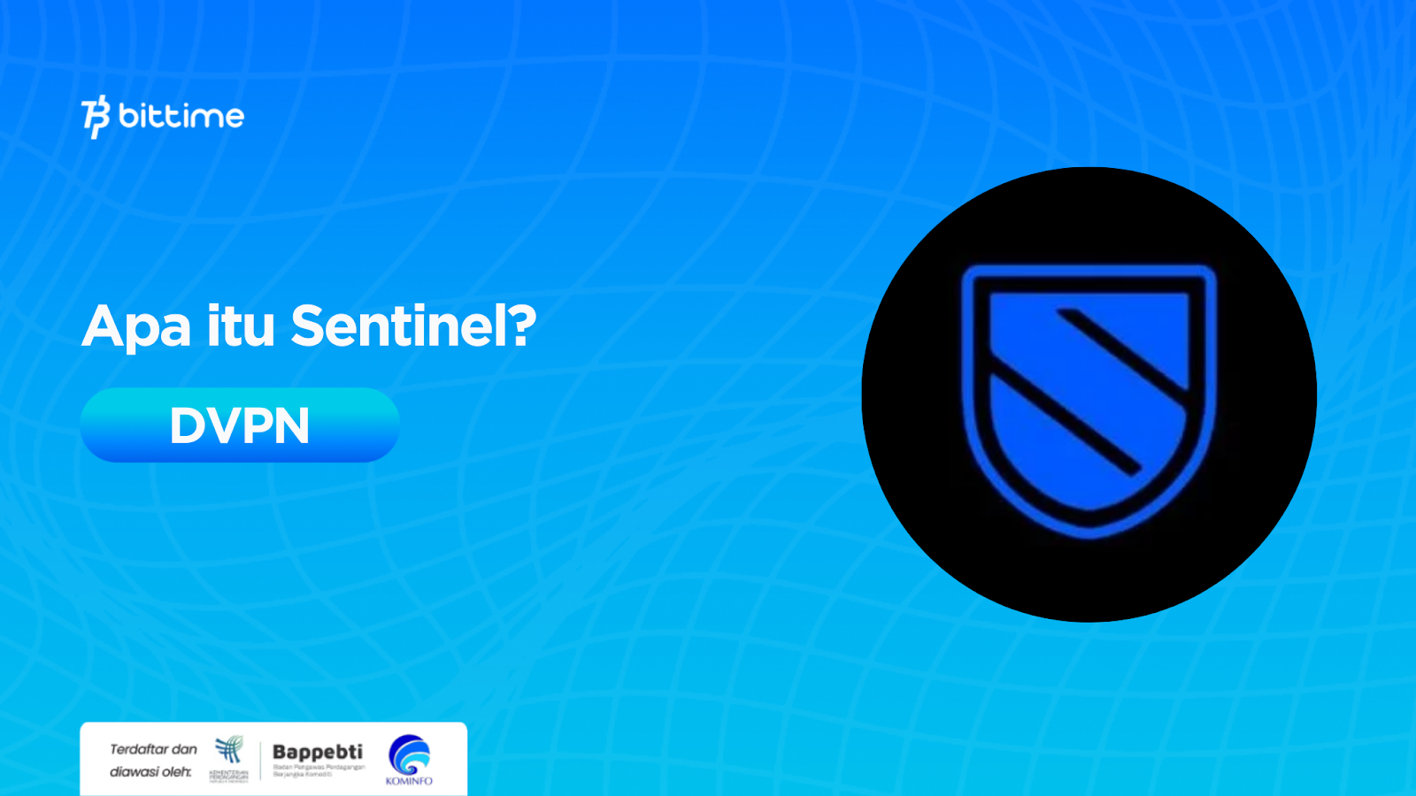 What is Sentinel (DVPN)? VPN Solution for Privacy and Security – Bittime
