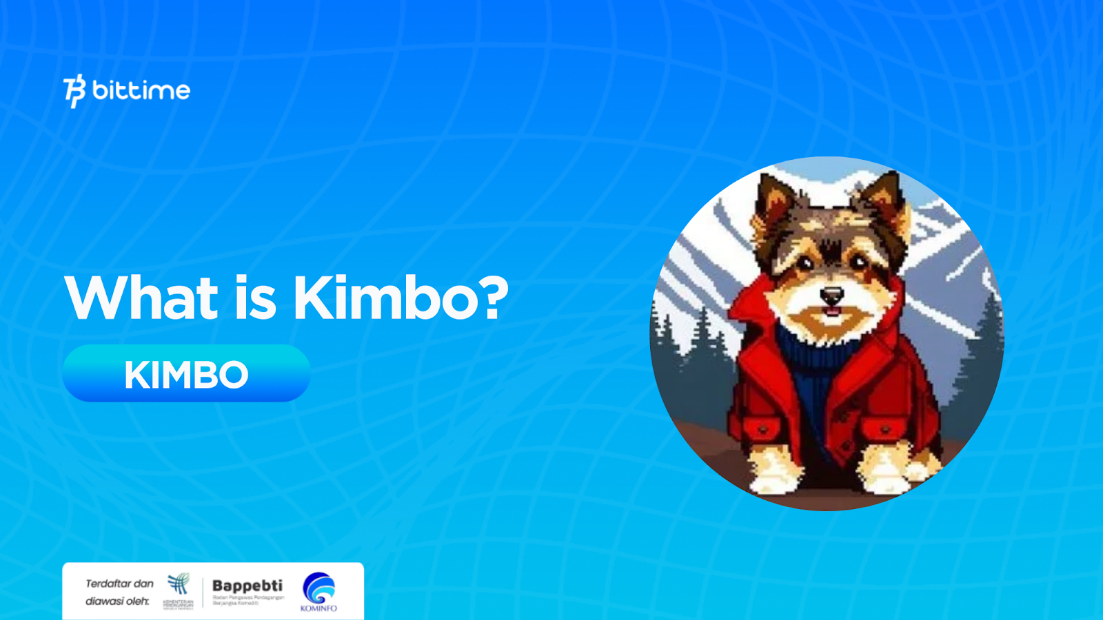 What is Kimbo (KIMBO)? Decentralized Finance Solutions – Bittime