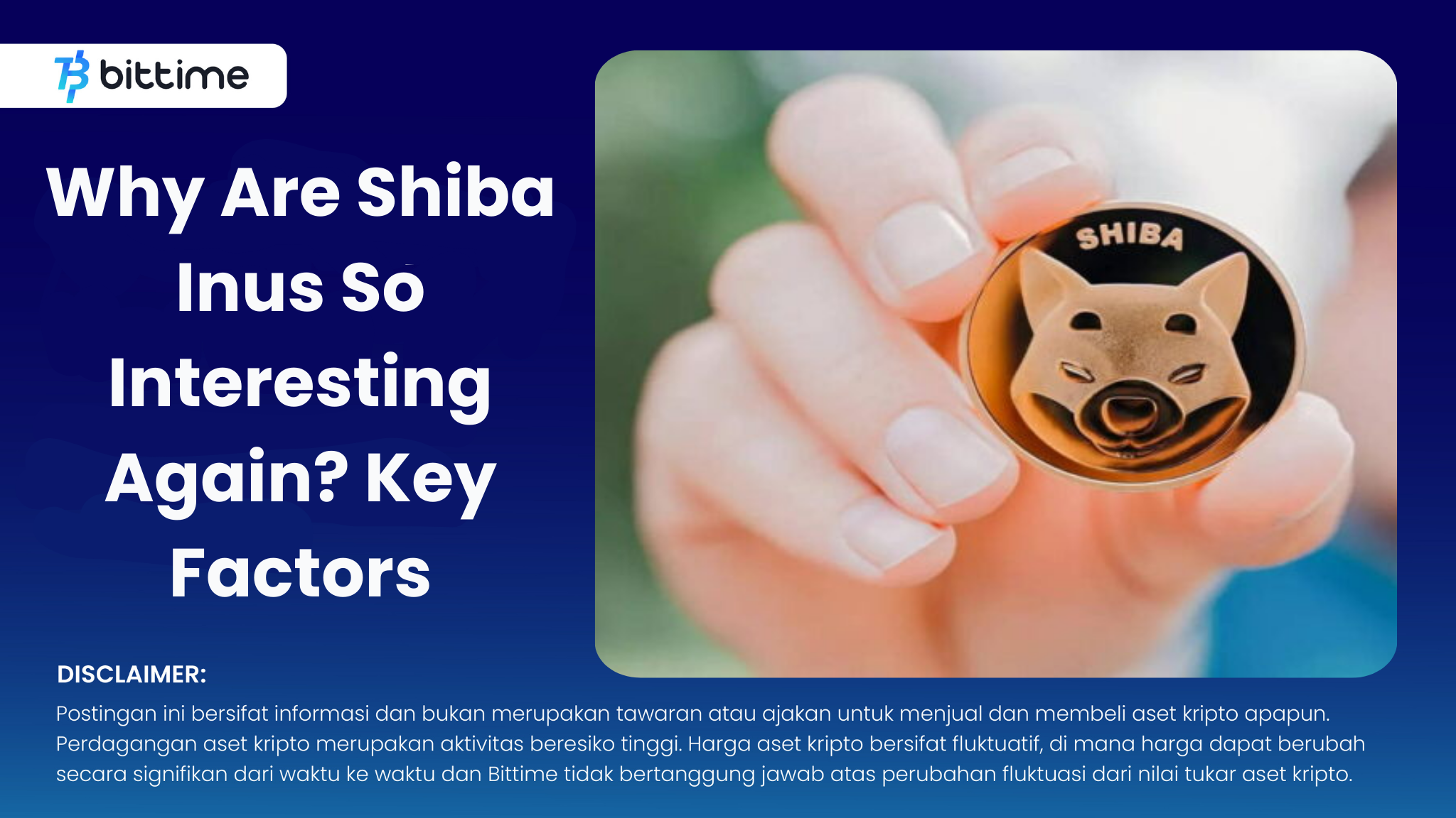 Why Are Shiba Inus So Interesting Again? Key Factors – Bittime