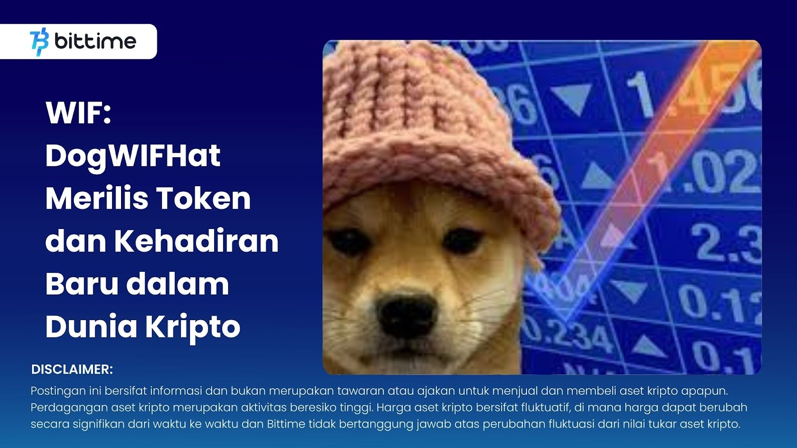 WIF: DogWIFHat Releases Token and New Presence in the Crypto World ...