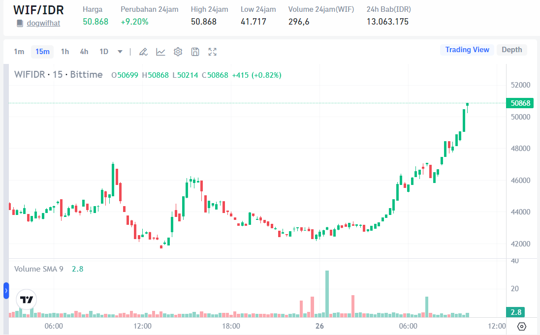 WIF Token Price Hits $3.1, Up 11.25% in 24 Hours! – Bittime