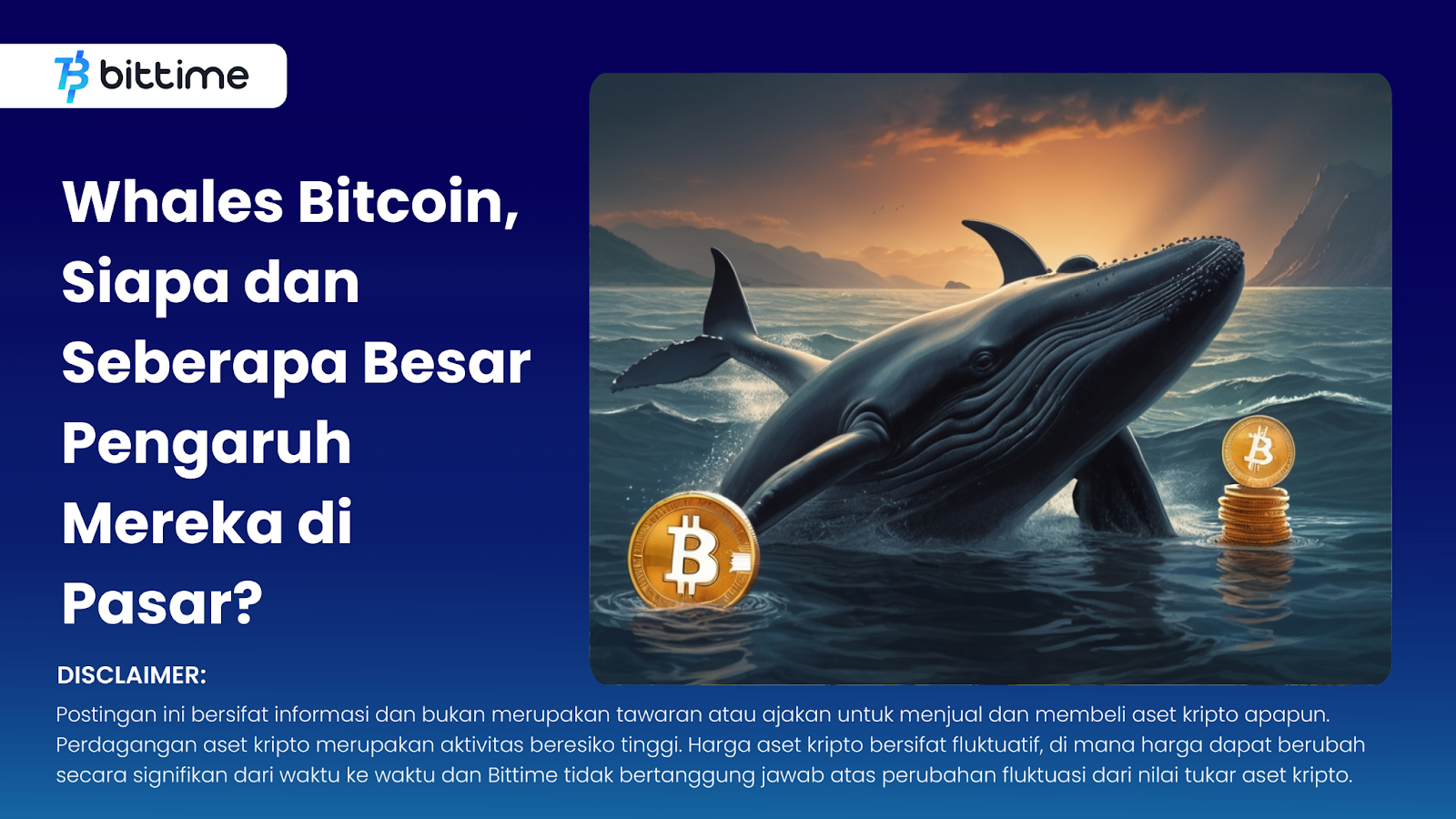 Whales Bitcoin, Siapa dan Seberapa Besar Pengaruh Mereka di Pasar? – Bittime