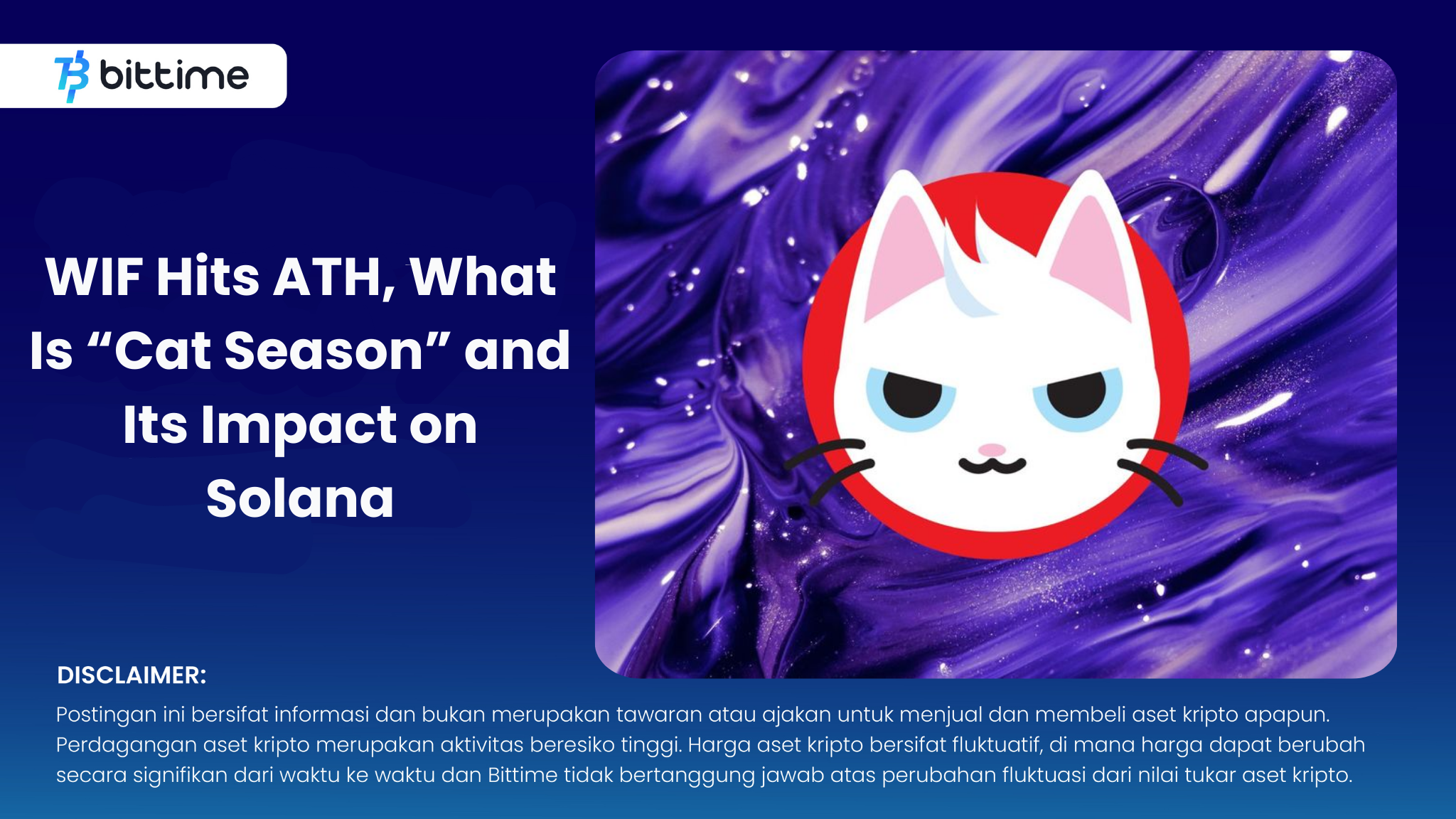 WIF Hits ATH, What Is “Cat Season” and Its Impact on Solana – Bittime