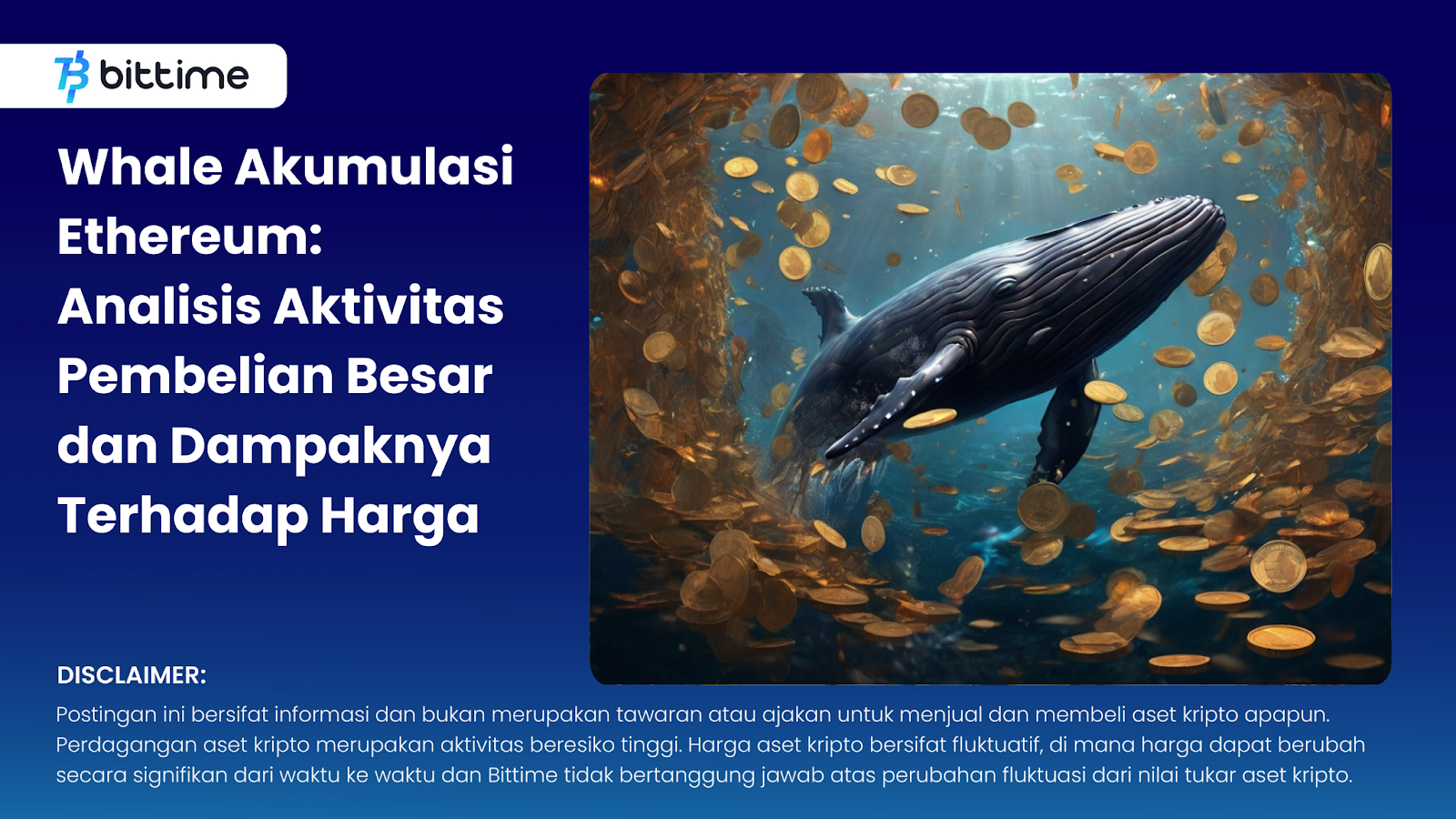 Ethereum Accumulating Whales: Analysis of Large Buying Activity and Its Impact on Price – Bittime