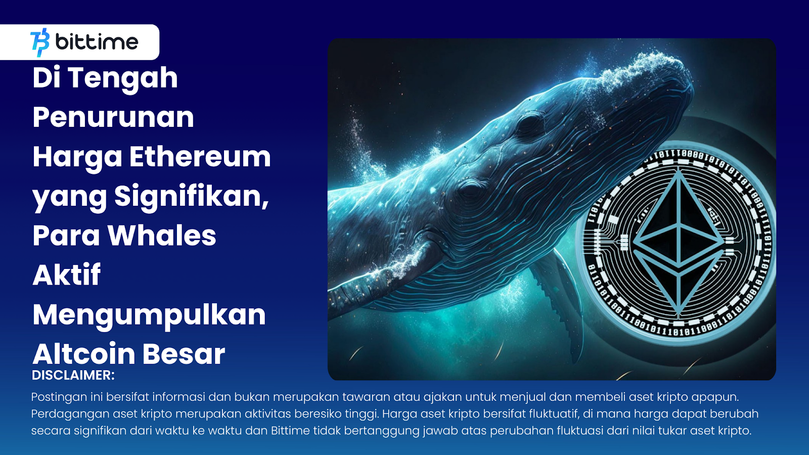 Amid Significant Ethereum Price Drop, Whales Are Actively Accumulating ...