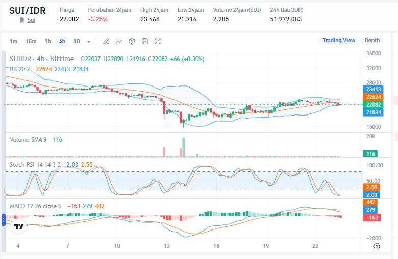 Sui Overflow: Developer's Big Plan to Build the Future of Blockchain ...