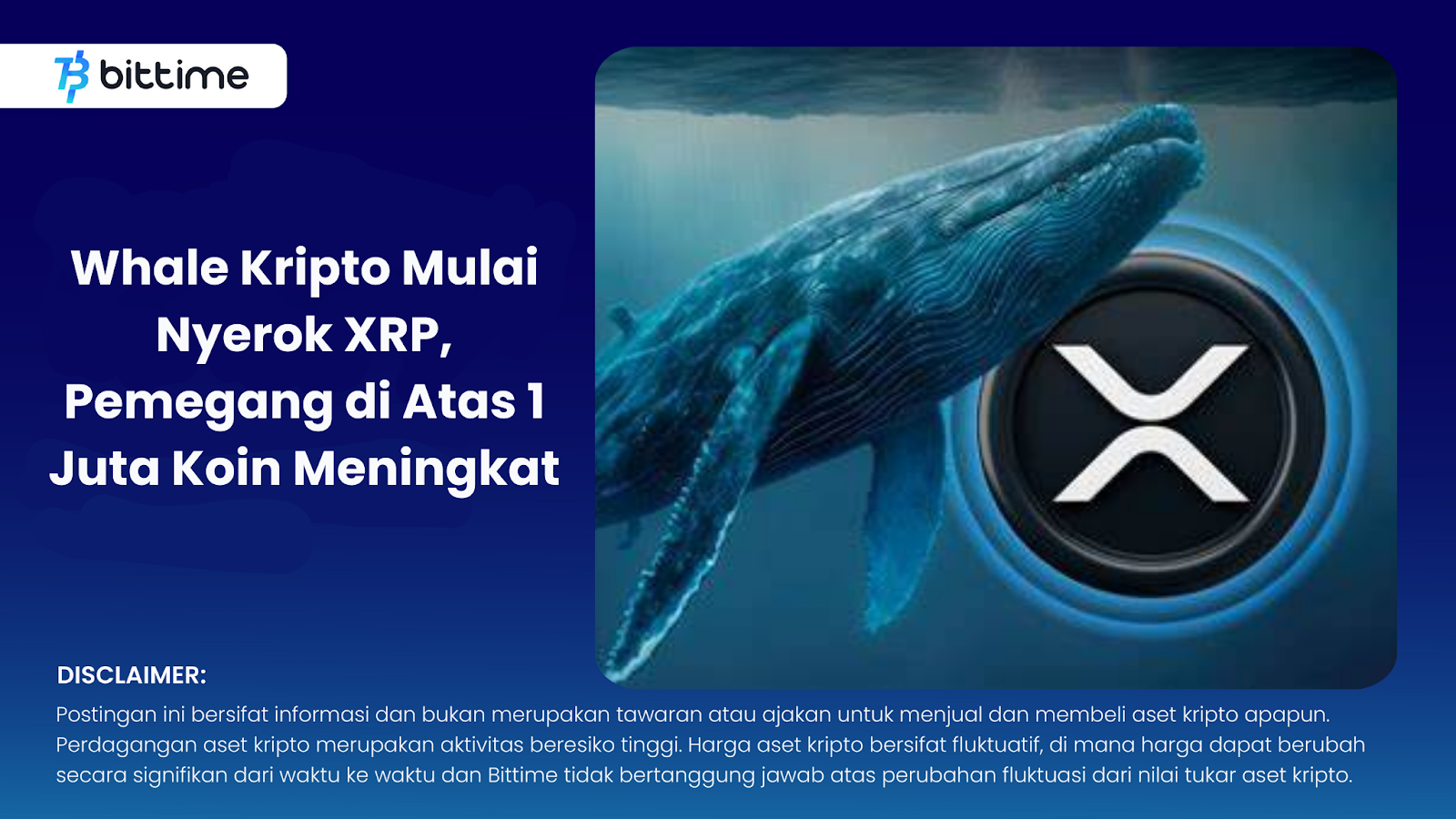 Crypto Whales Start Eroding XRP, Holders Above 1 Million Coins Increase – Bittime