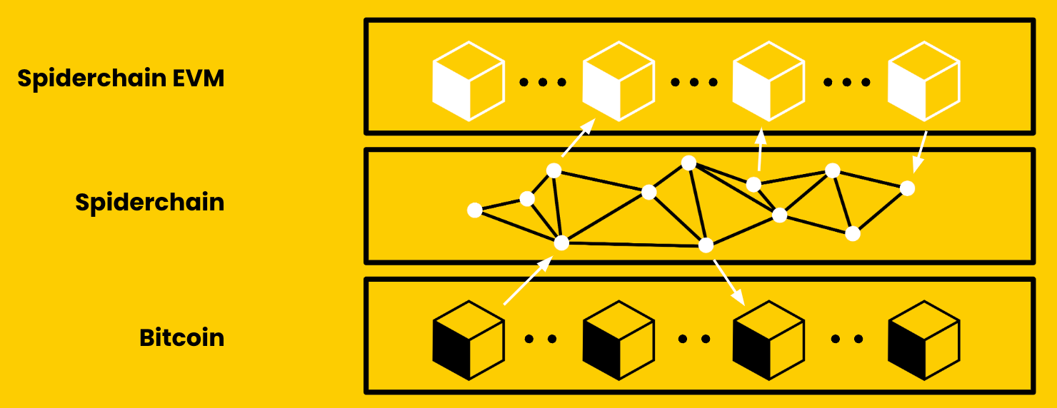 Spiderchain: Aspiring to Be an EVM Compatible Layer 2 for Bitcoin – Bittime