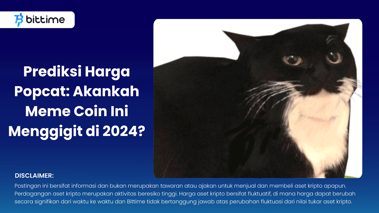 Popcat Price Prediction: Will This Meme Coin Bite in 2024? – Bittime