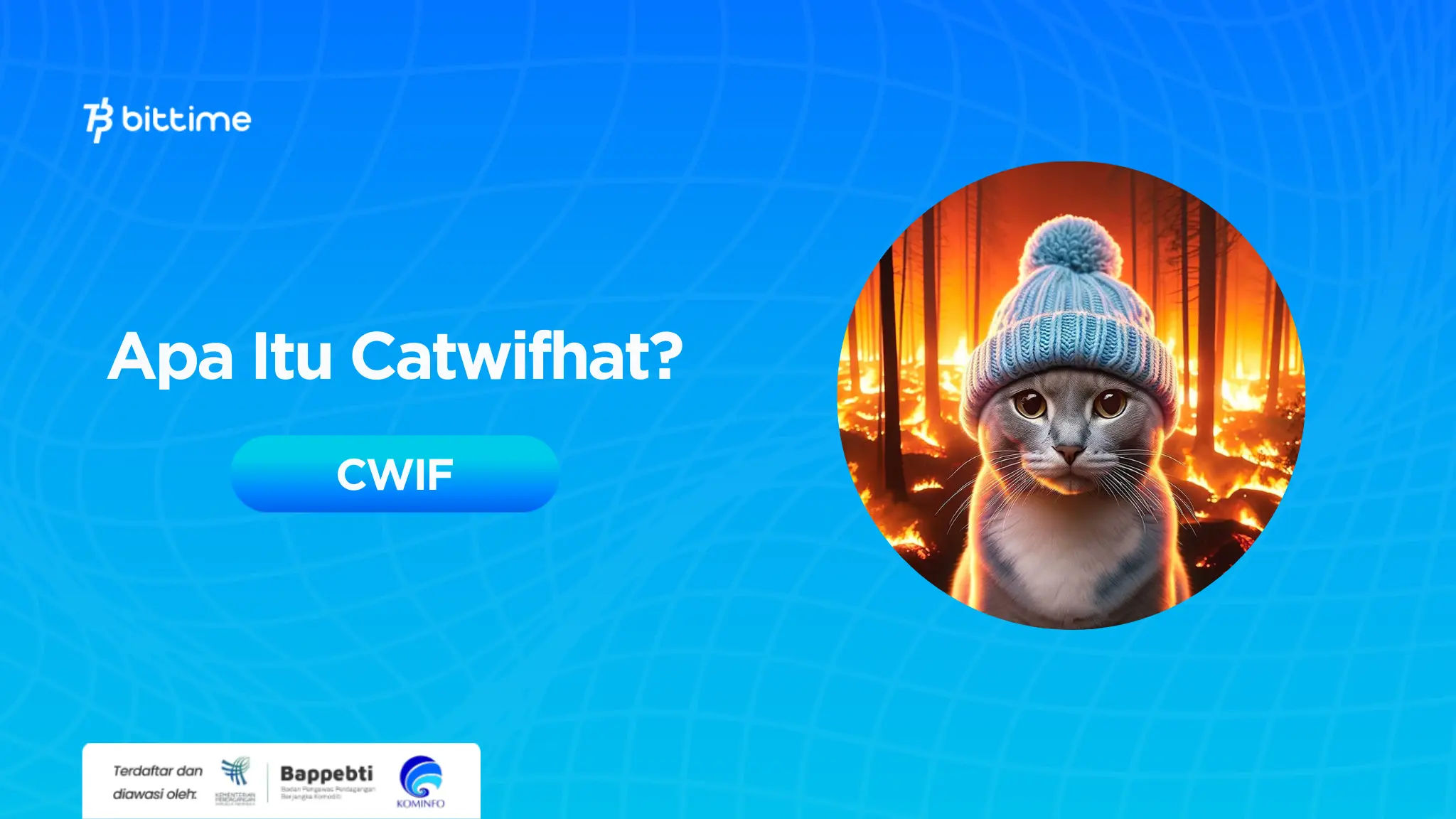 What is Catwifhat (CWIF)? Solana Cat Coin that Has Deflationary ...