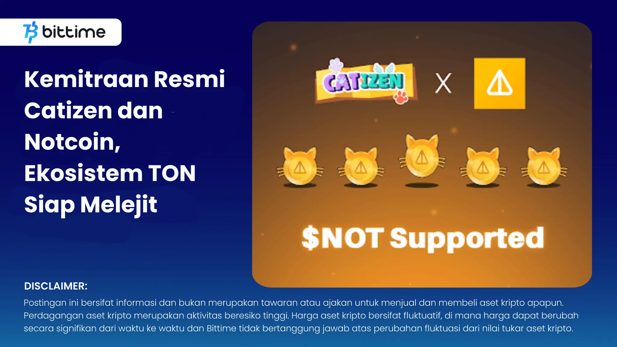 Catizen and Notcoin Official Partnership, TON Ecosystem Ready to ...