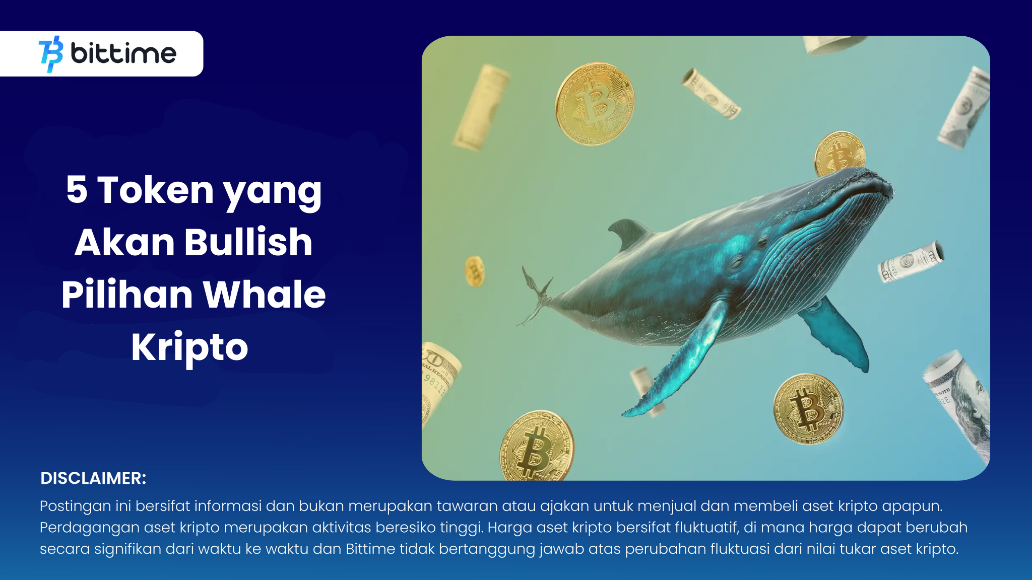 5 Tokens That Will Be Bullish Crypto Whale Options – Bittime