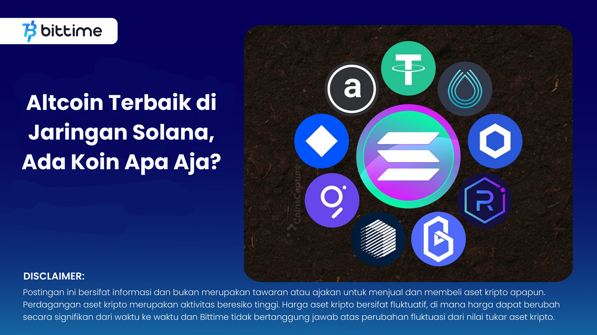 Best Altcoins on the Solana Network, What Coins Are There? – Bittime